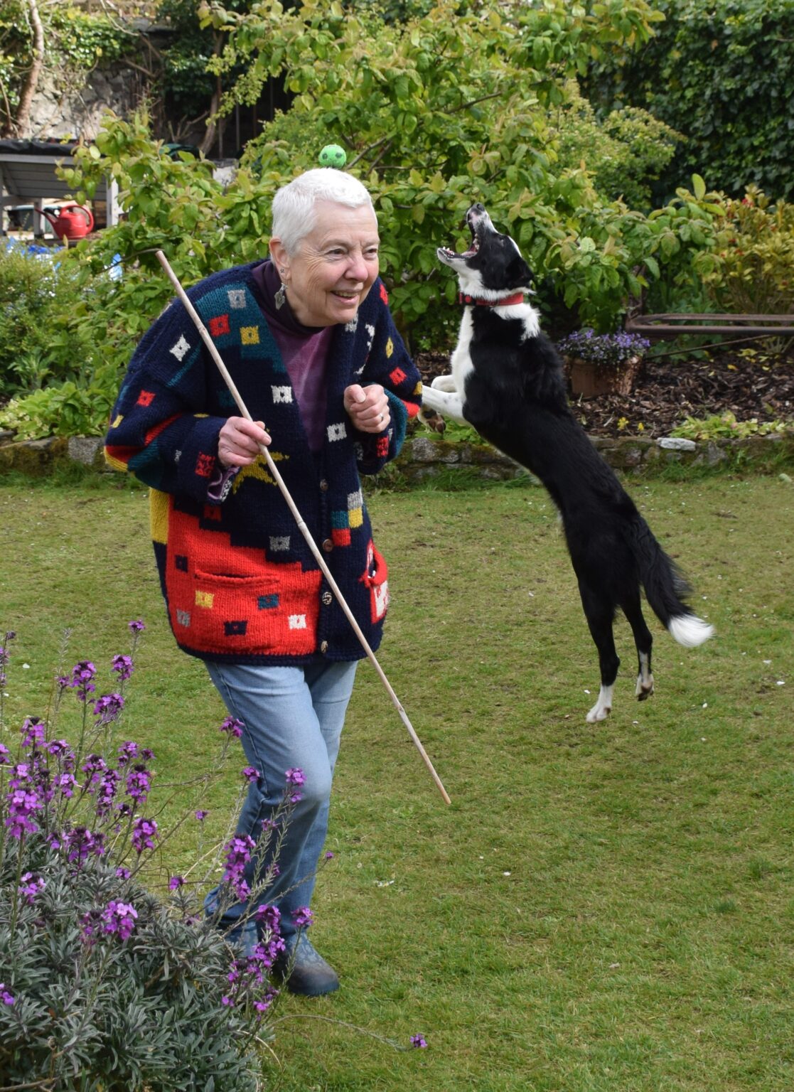 The Dog Blog – Chaplain to Readers in the Diocese of Truro